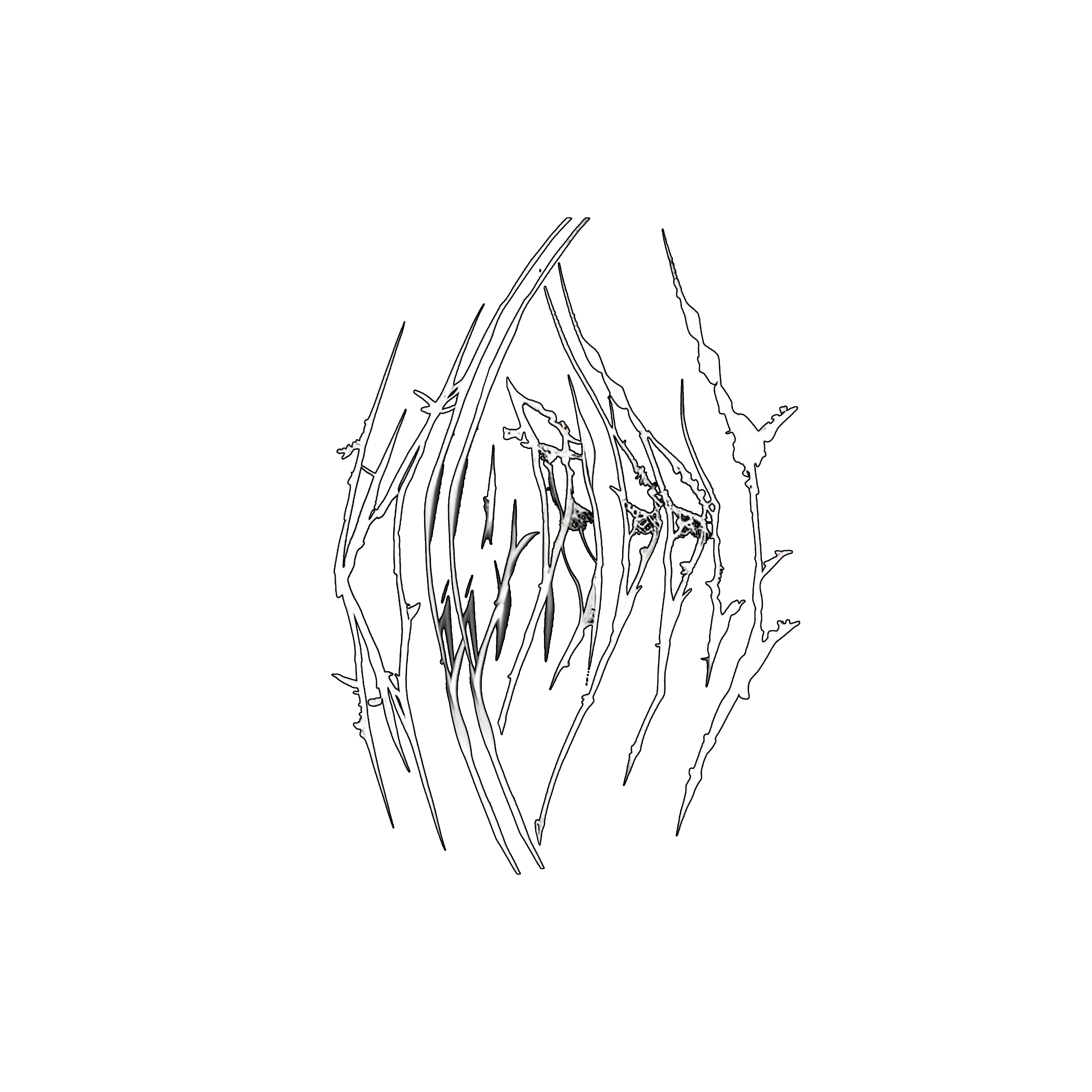 KILLRIDDLE – RAZORSKULL